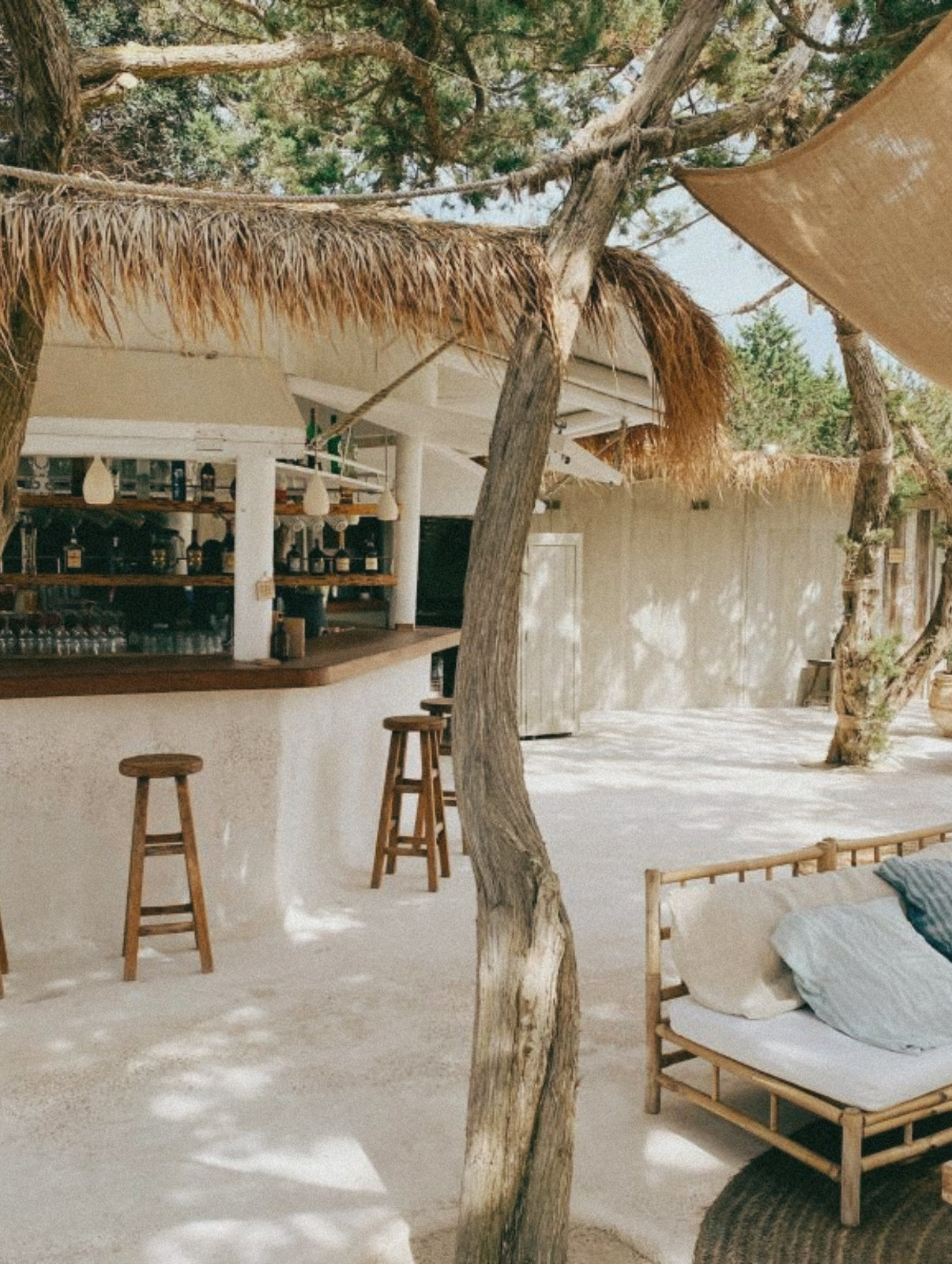 Find Sommer Swim at Particular x Jondal Ibiza – SOMMER SWIM